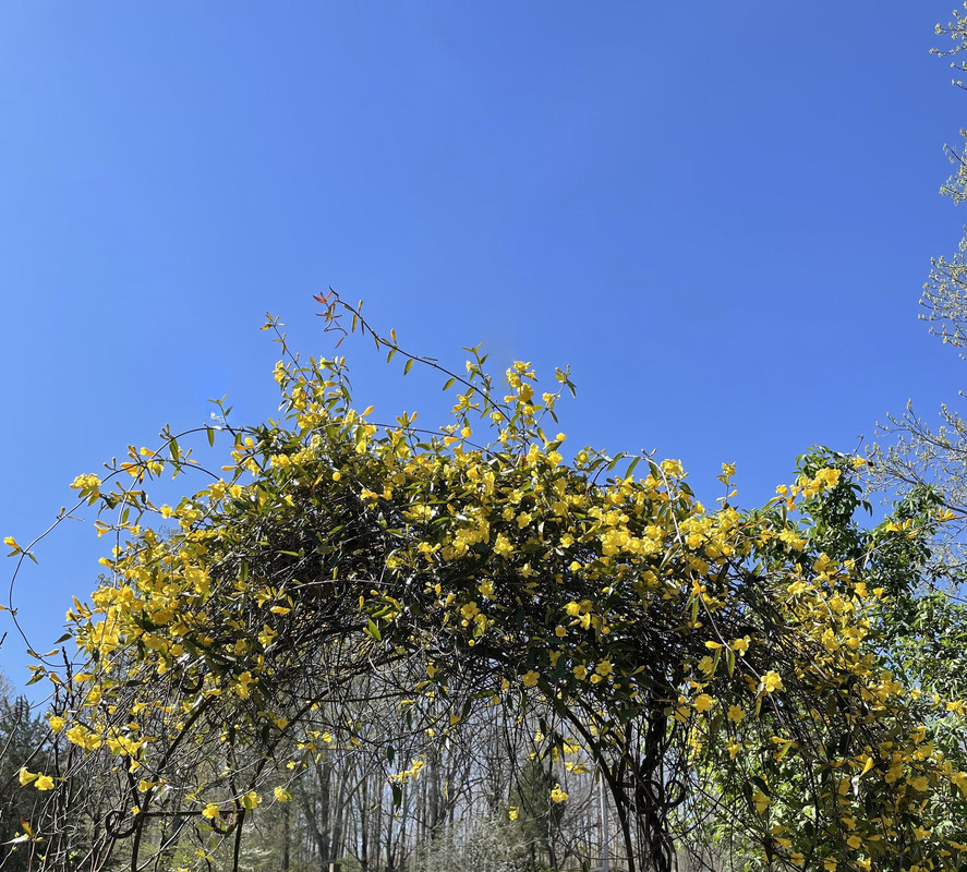 power — Postimages