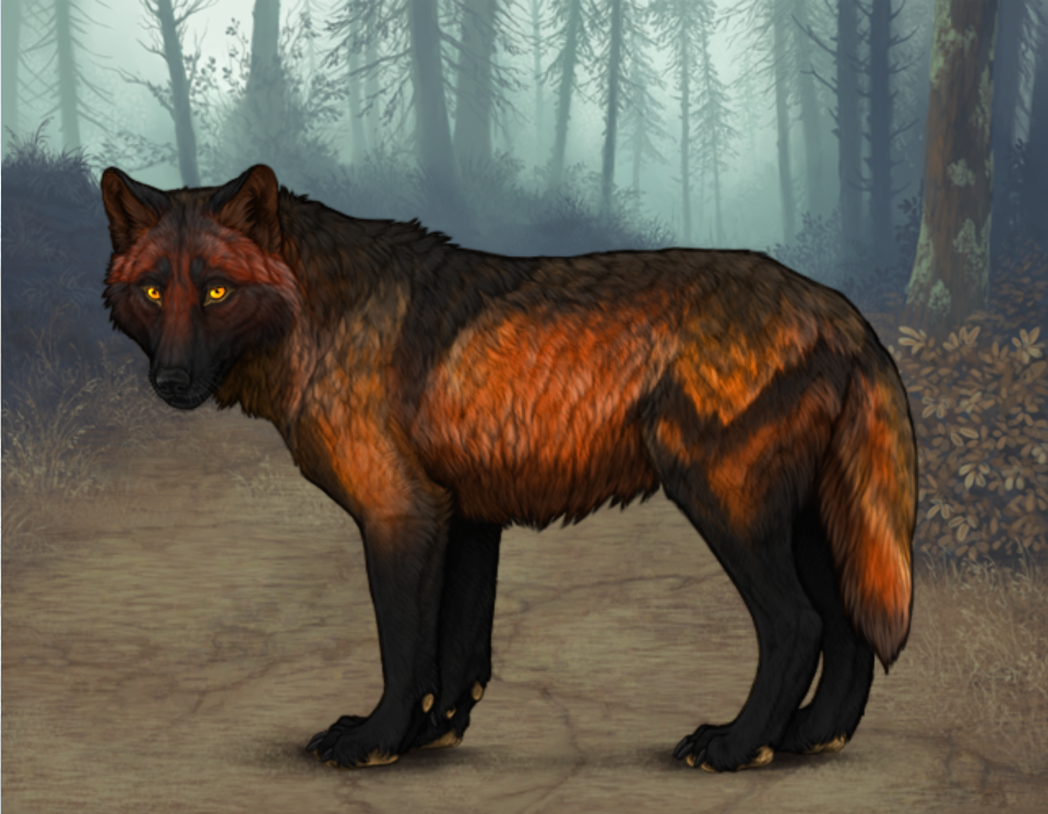 Premade and Custom Wolf Designs |:| Wolvden