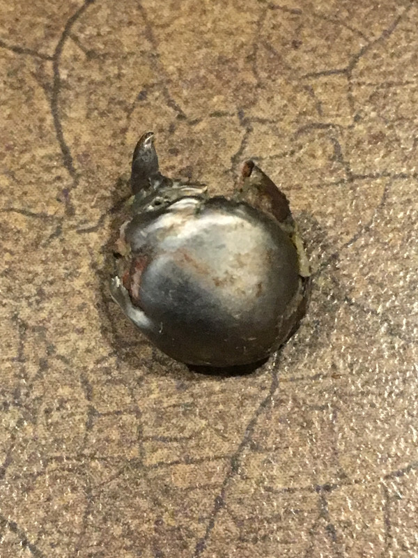 IMG 3184 — Postimages