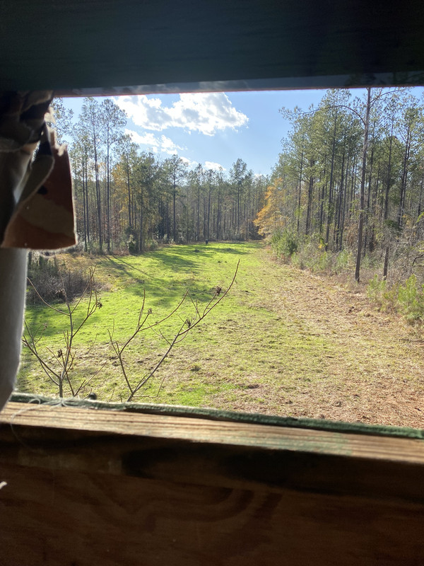 IMG 4738 — Postimages