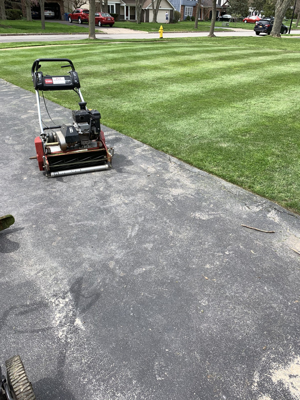 IMG 8216 — Postimages