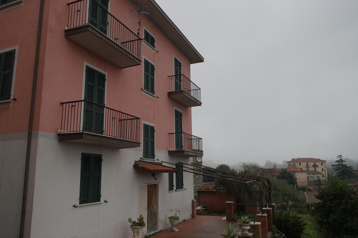 DSC 0123 NEF — Postimages