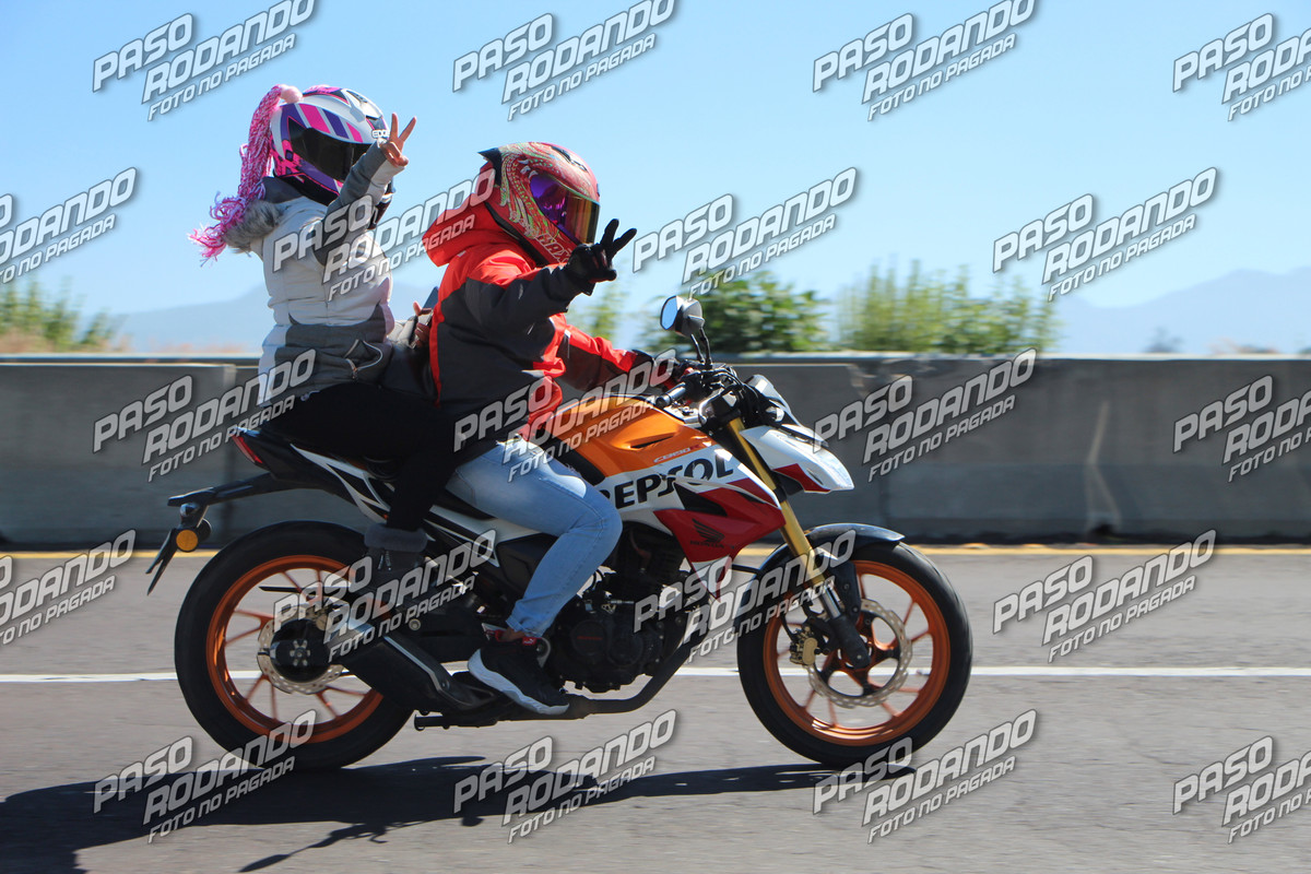 IMG 3358 wm 9859341 899999999 watermarked — Postimages