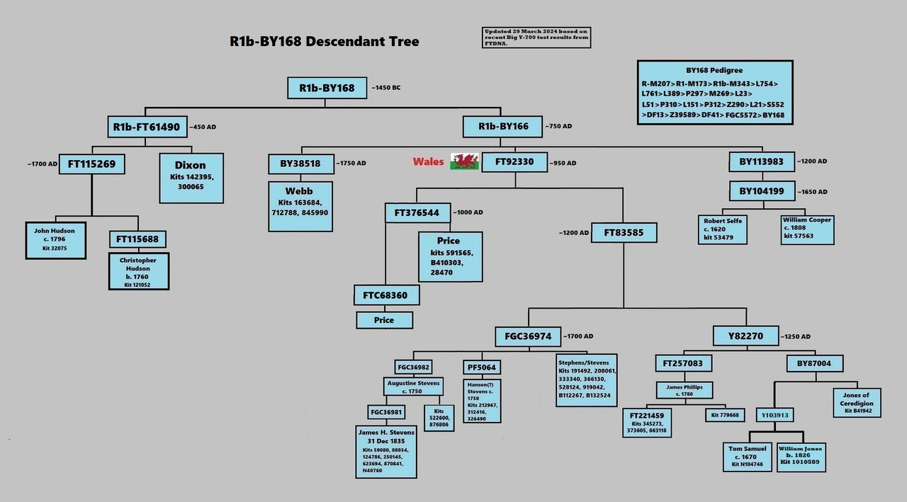 R1b BY168 descendant tree — Postimages