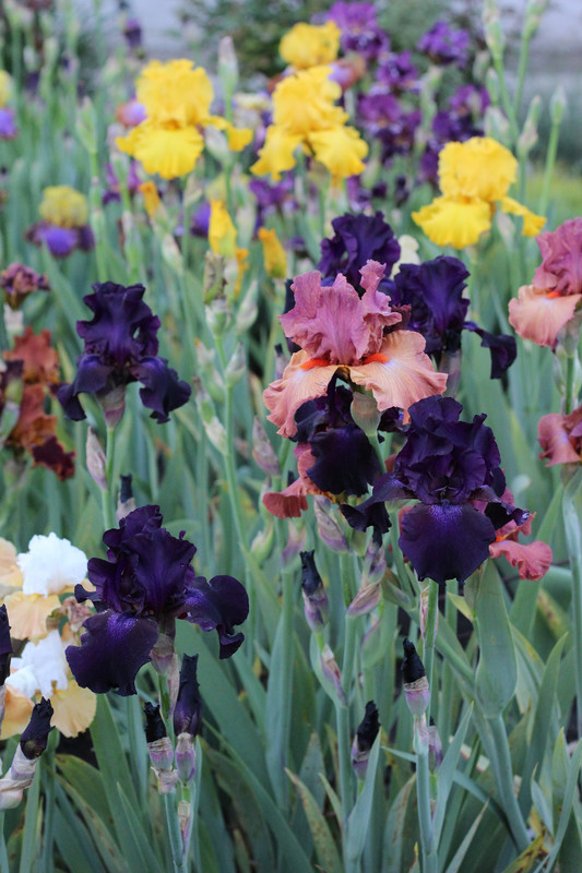 Before the storm — Postimages