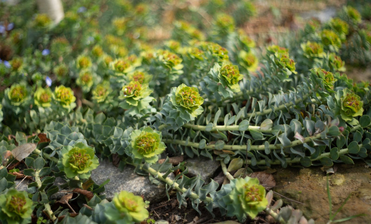 Img 82328b321ec64aec2c73d67992bb1a87 V Postimages