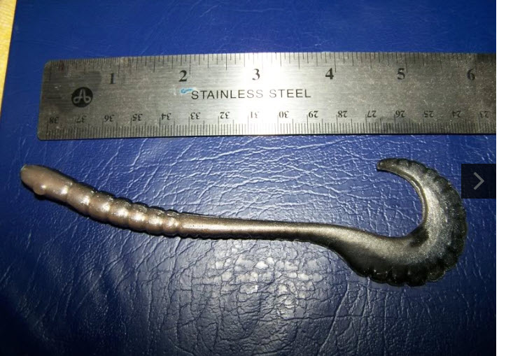 Did Clunn win on an old Ditto gator tail worm? - Page 4