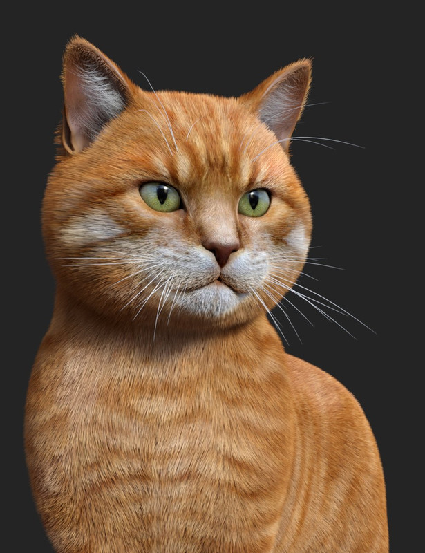 (FILLED) For Cat Zeus & Ultimate DForce Bed 2 - Free Daz 3D Models