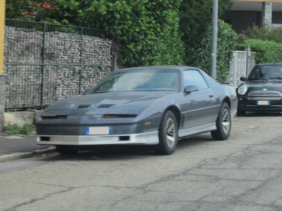 IMG 5451 — Postimages