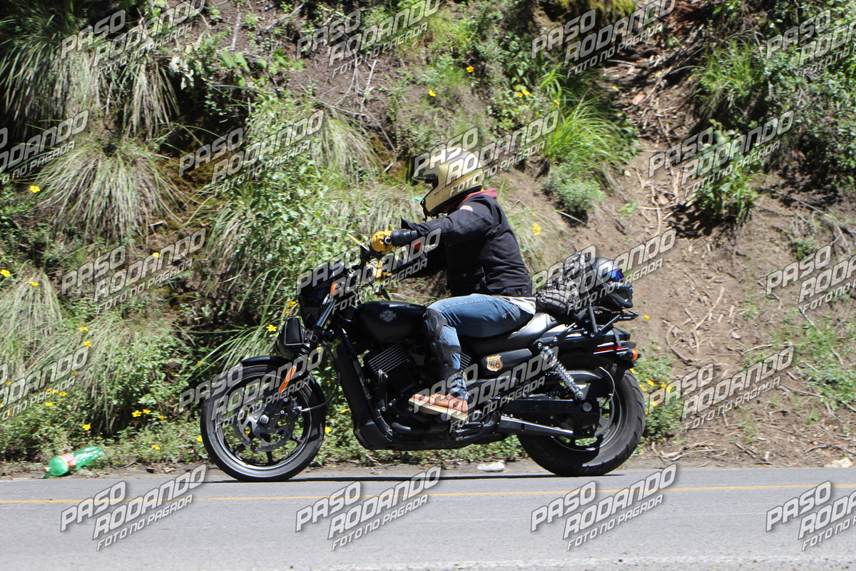 IMG 6300 wm 18902091 2 watermarked — Postimages