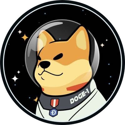 DOGE-1 fairlaunch - How to buy DOGE-1