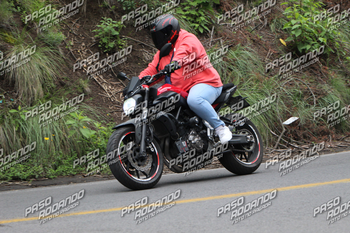 IMG 3086 wm 1507704 1 watermarked — Postimages