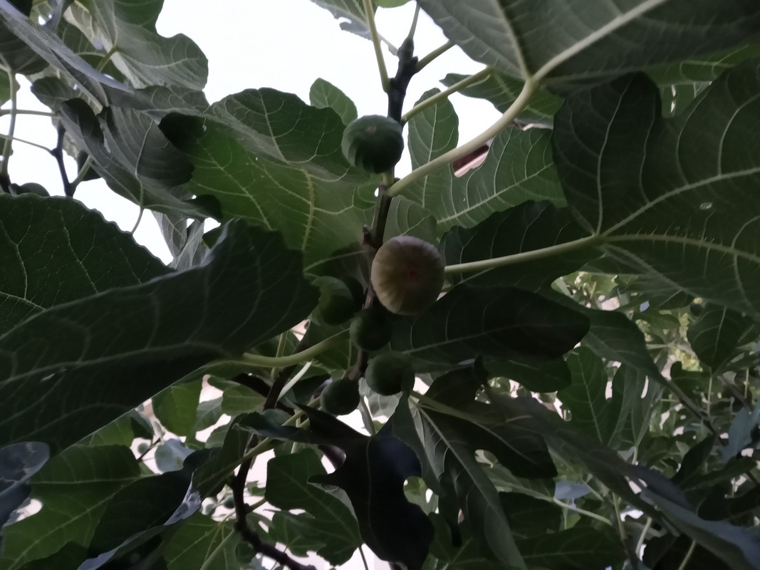 IMG 20230920 185503 449 — Postimages