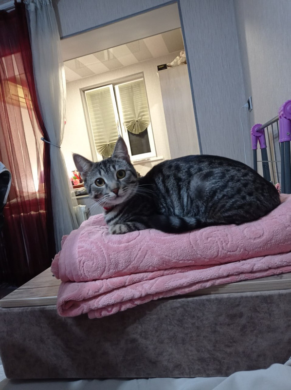 IMG 20221204 153952 239 — Postimages