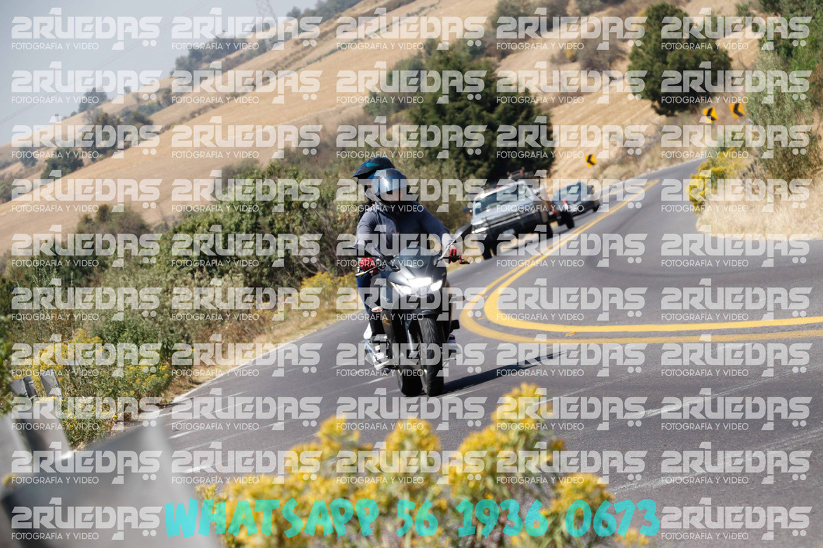 MG 0803 — Postimages