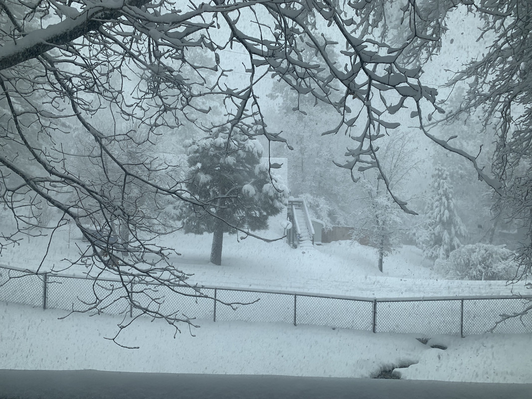 IMG 2451 — Postimages