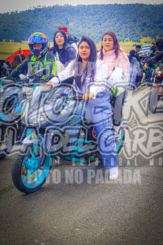 PL2 3006 — Postimages