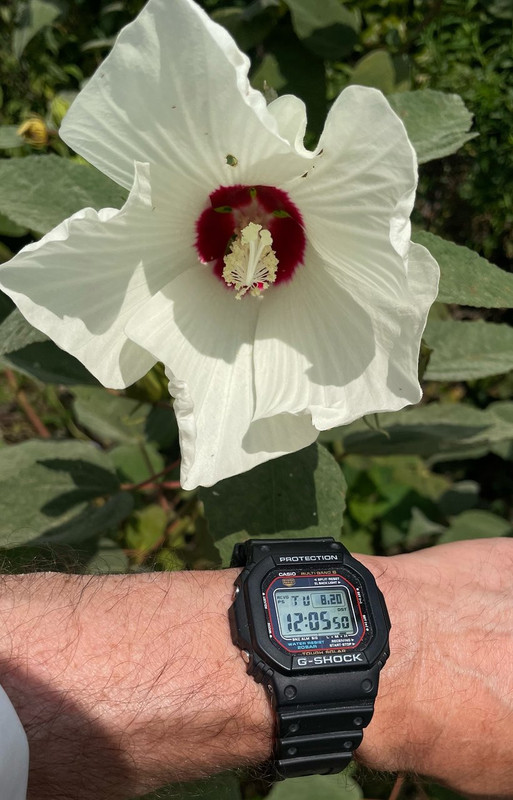 IMG 0568 — Postimages