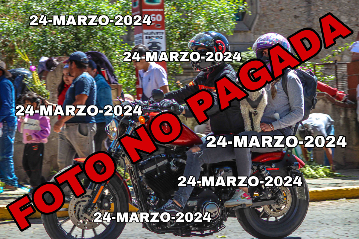 CV 295 — Postimages