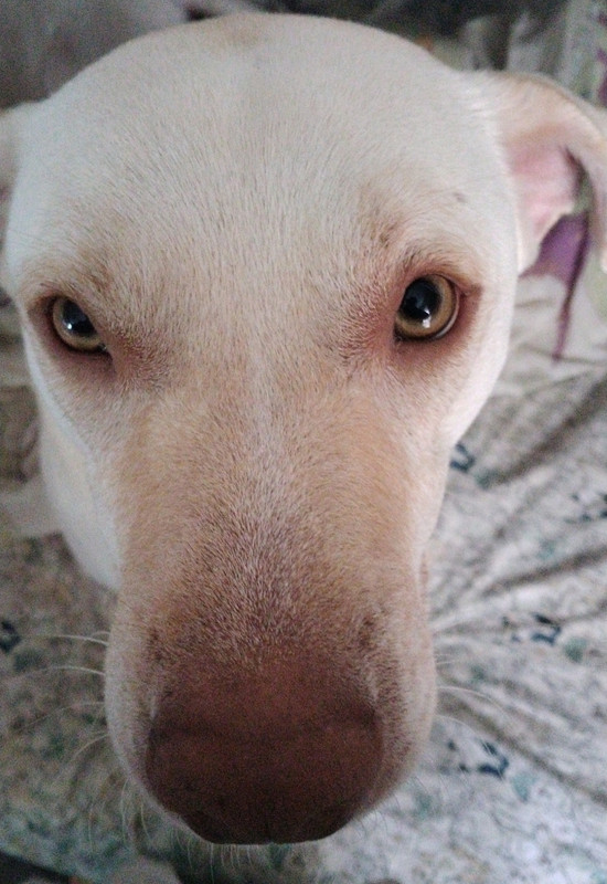 Screenshot 2023 09 19 16 07 42 327 — Postimages