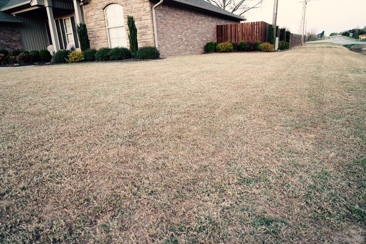 side2 — Postimages