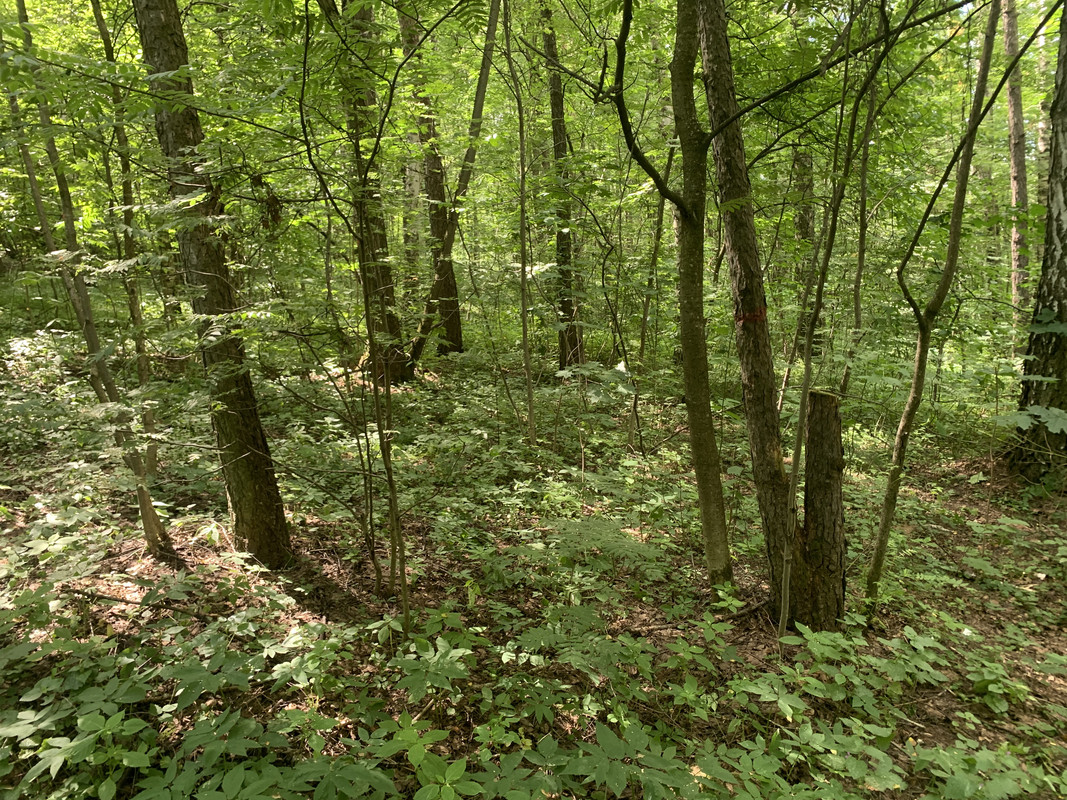 IMG 0208 — Postimages