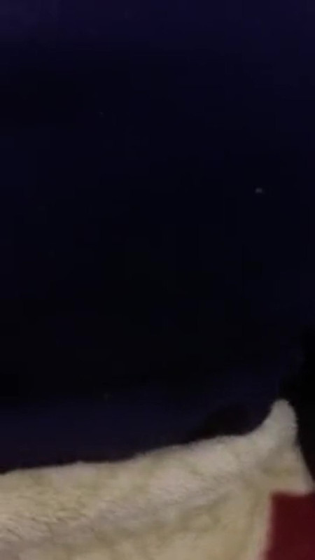 IMG 20231201 220603 110 — Postimages