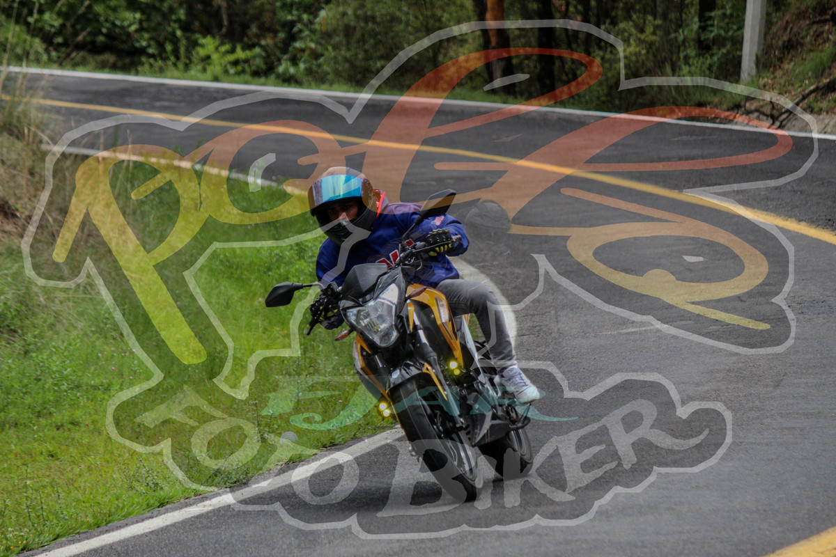 IMG 3279 — Postimages