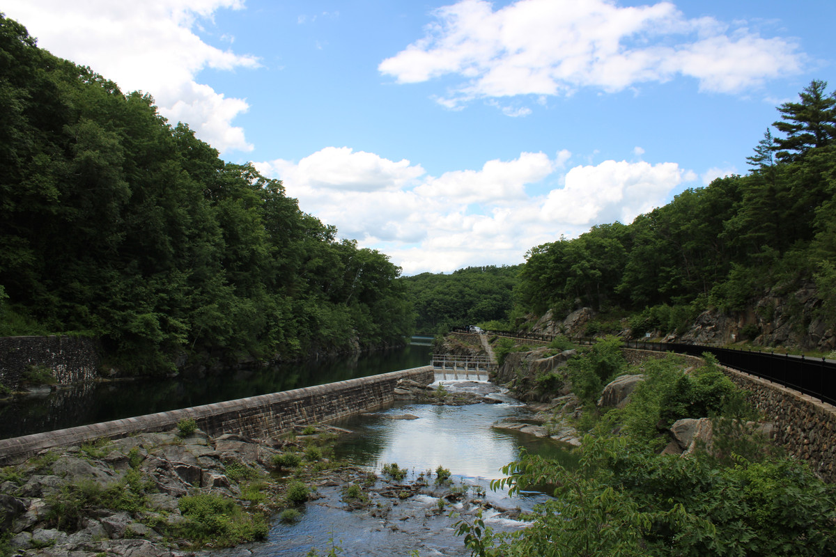 IMG 1808 — Postimages