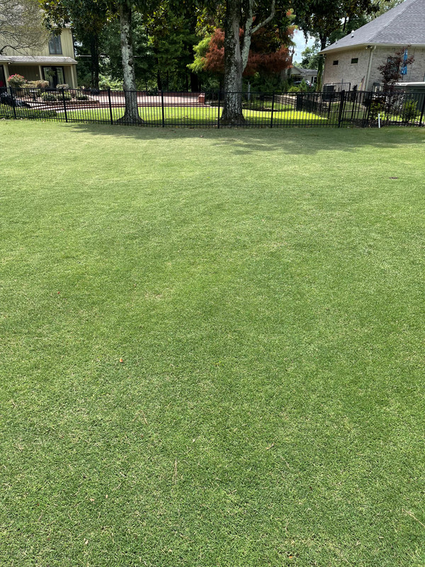 Lawn 3 — Postimages