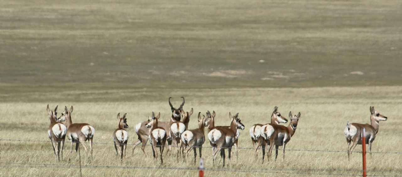 IMG 7947 1 — Postimages