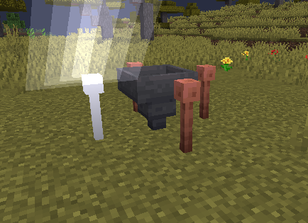 Nether Star Duplication - Duplicate Multiple items using nether stars ...