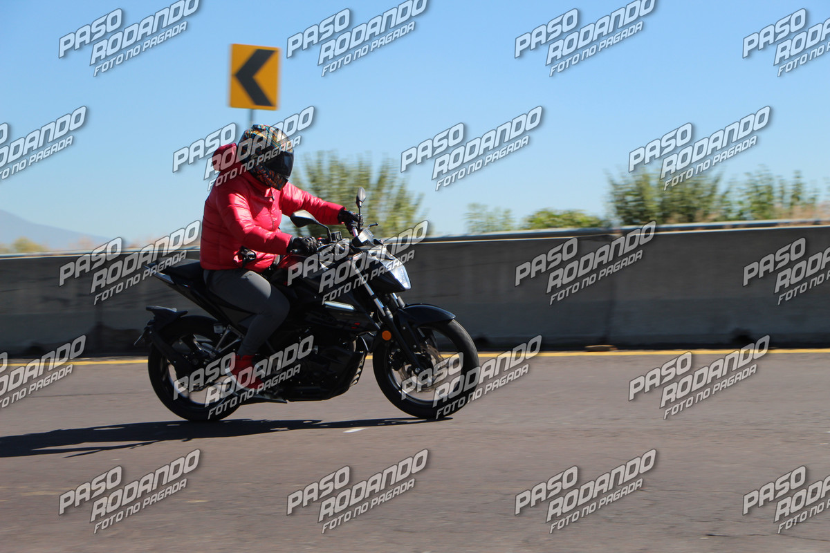 IMG 3336 wm 9818052 7 watermarked — Postimages