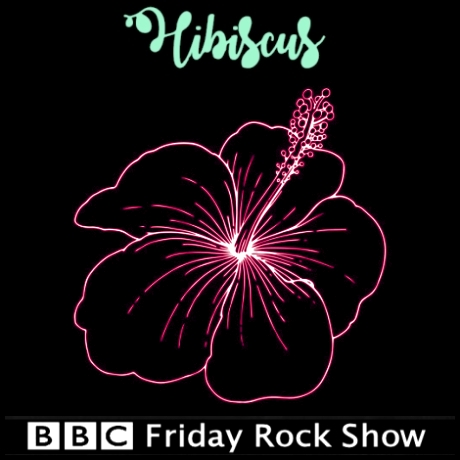 Hibiscus (UK) - BBC Radio 1 Friday Rock Show Session [Bootleg] (1980 ...