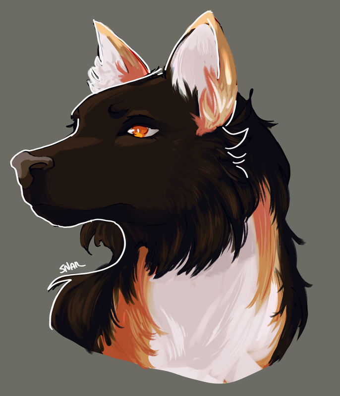 LD 398511 Bust Messy — Postimages