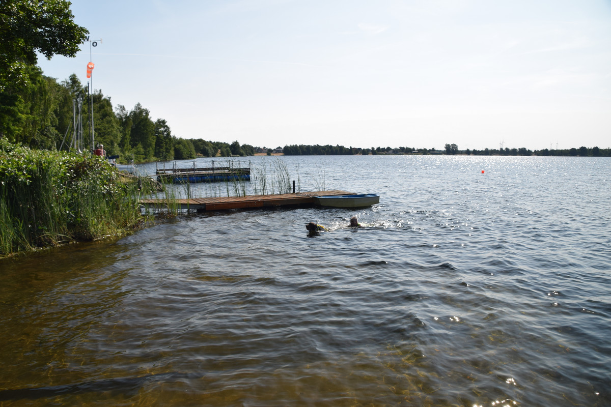 DSC 0088 — Postimages