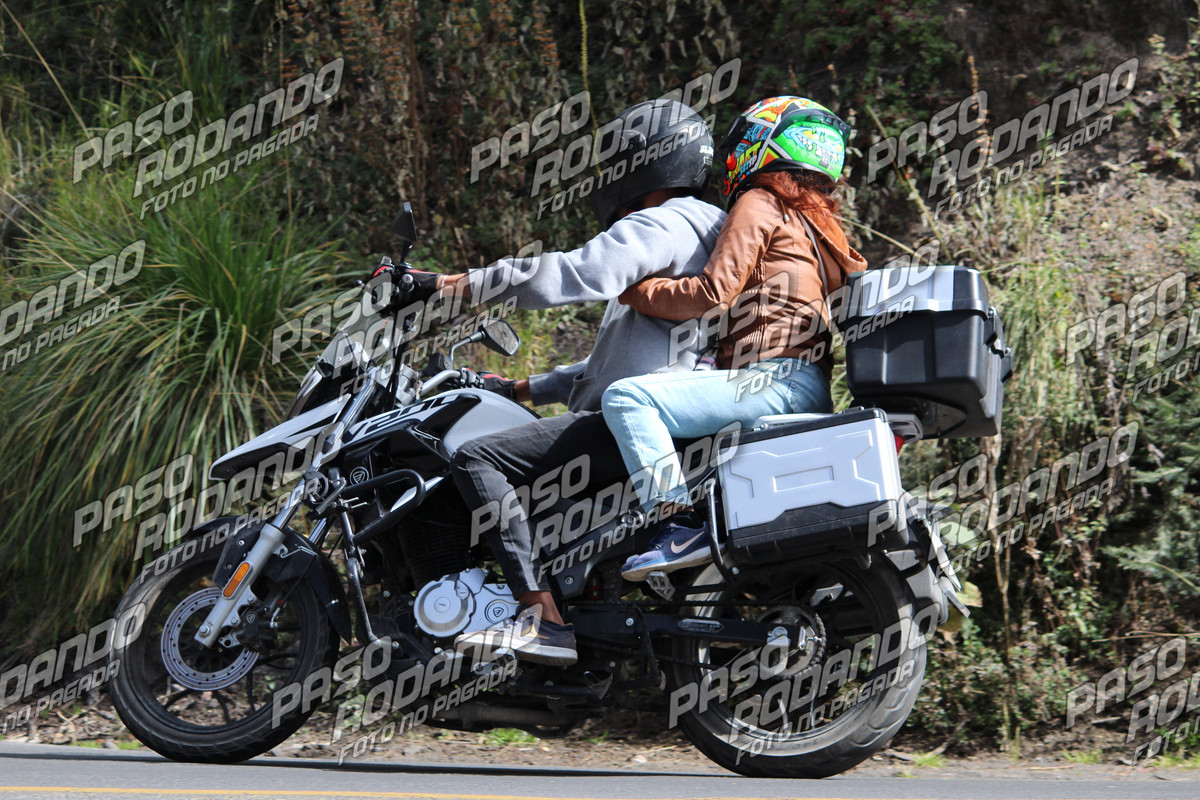 IMG 5499 wm 1921742 2000000002 watermarked — Postimages