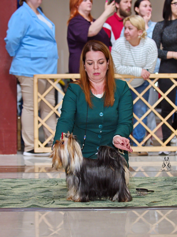 DSC 8259 1 — Postimages