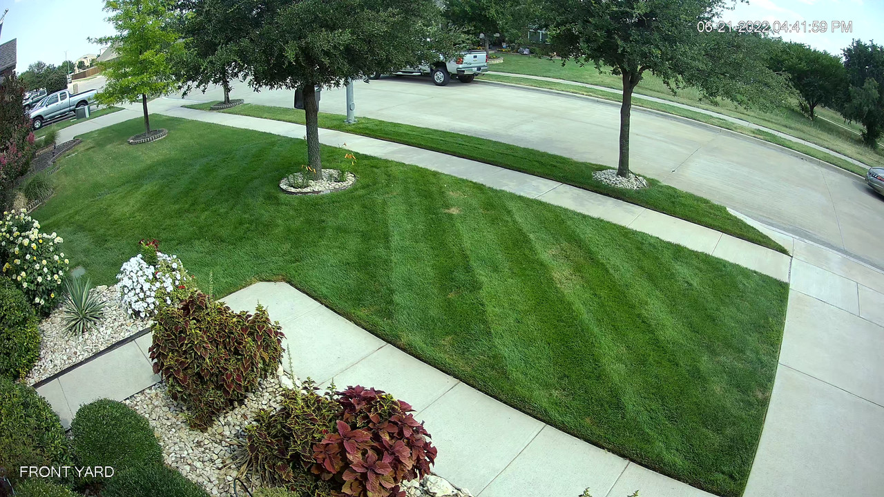 SPF-30 hybrid bluegrass | Page 41 | Lawn Care Forum