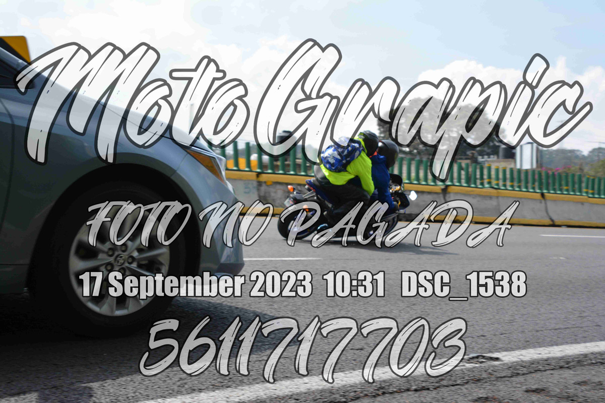 motgr DSC 1538 — Postimages