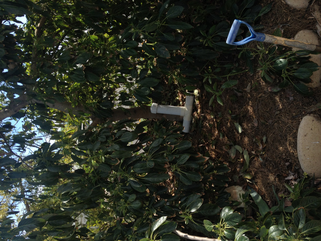 IMG 3152 — Postimages