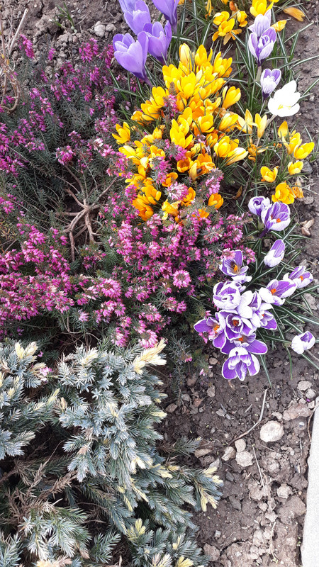 20200314 123432 — Postimages