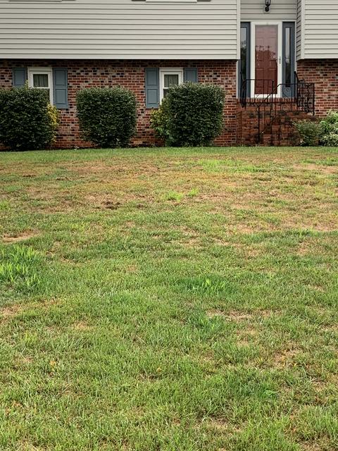 Serious lawn repair | Lawn Care Forum