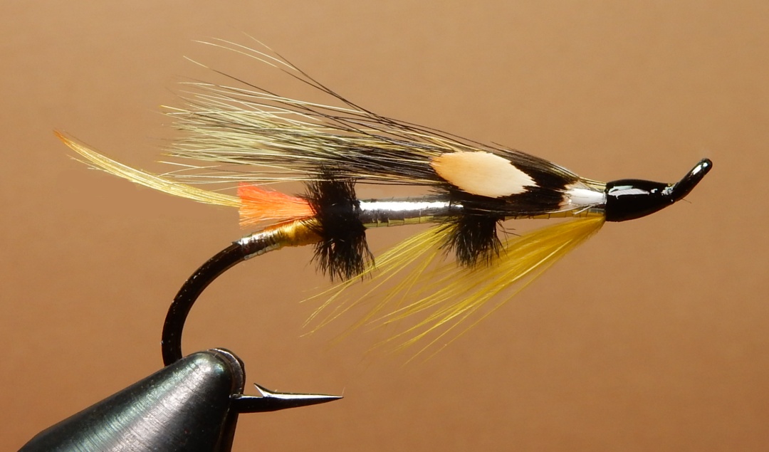 Pale Torrish - Fly Tying - Maine Fly Fish