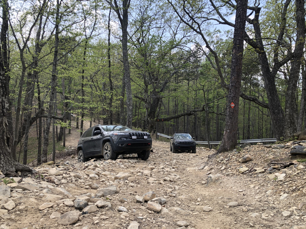 IMG 3871[1] — Postimages