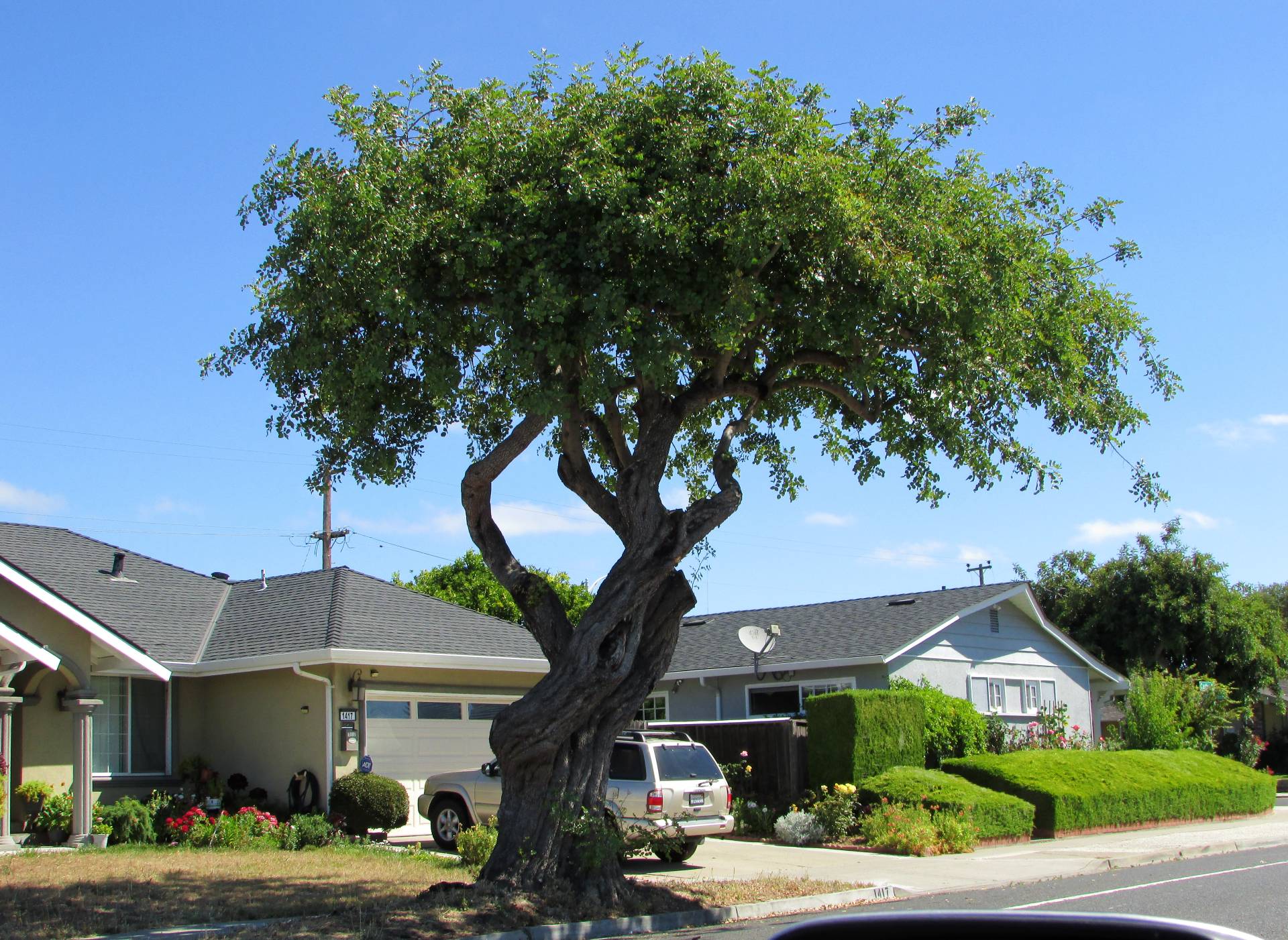 IMG 4695 — Postimages