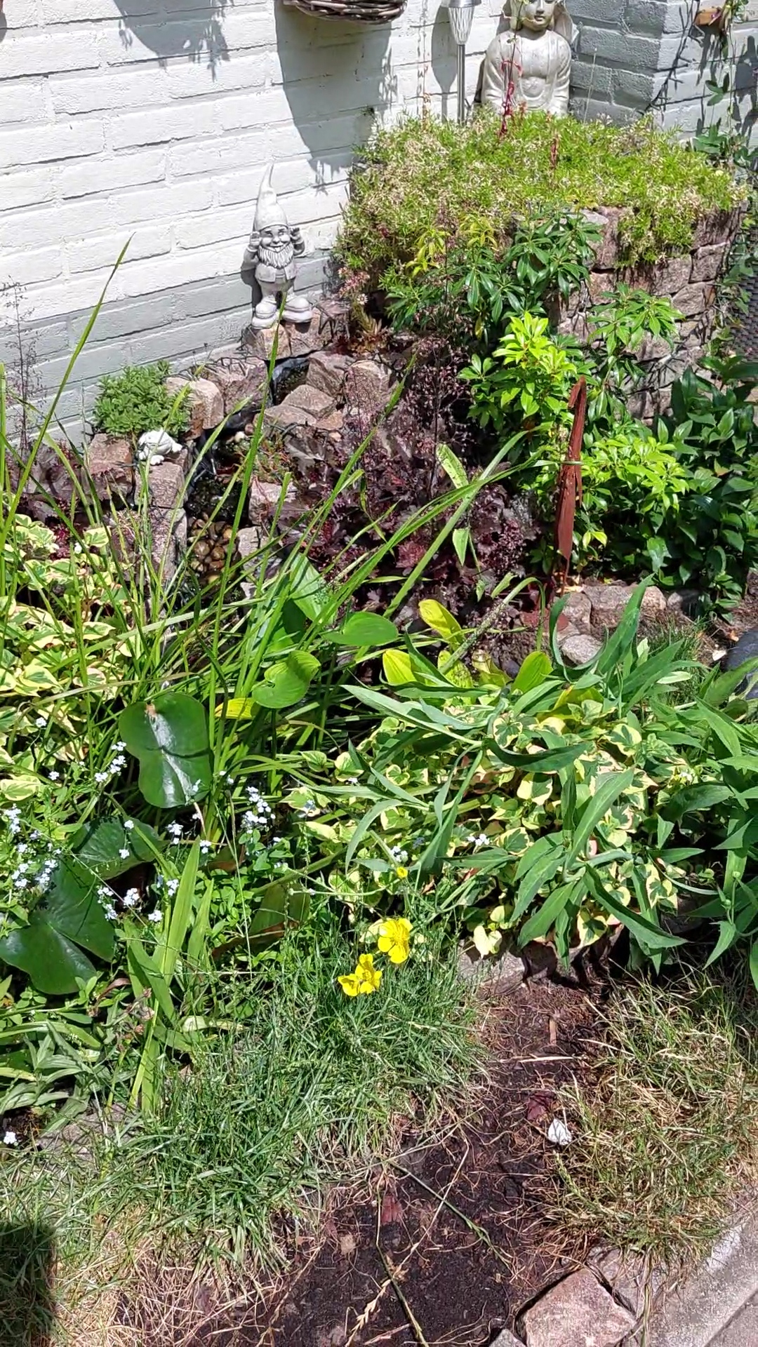 Video Capture 20240518 142535 — Postimages