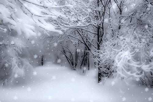 149131 Animated Winter Snow — Postimages