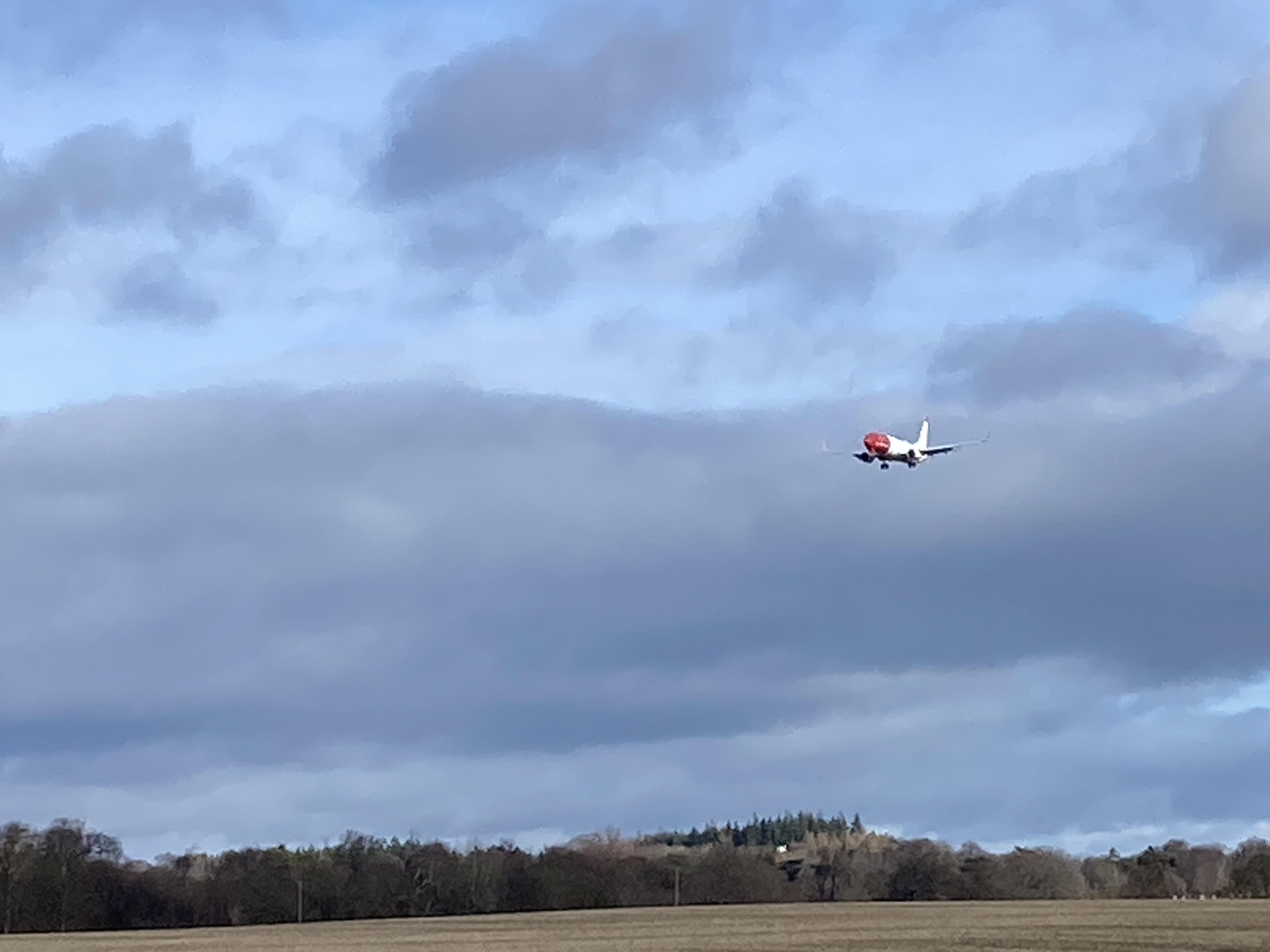 IMG 8590 — Postimages