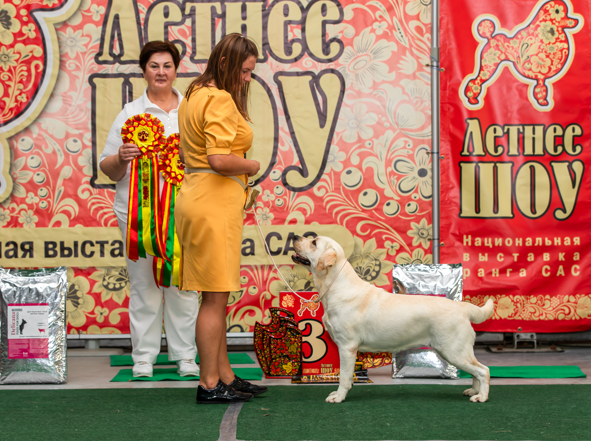 492 CR2 — Postimages